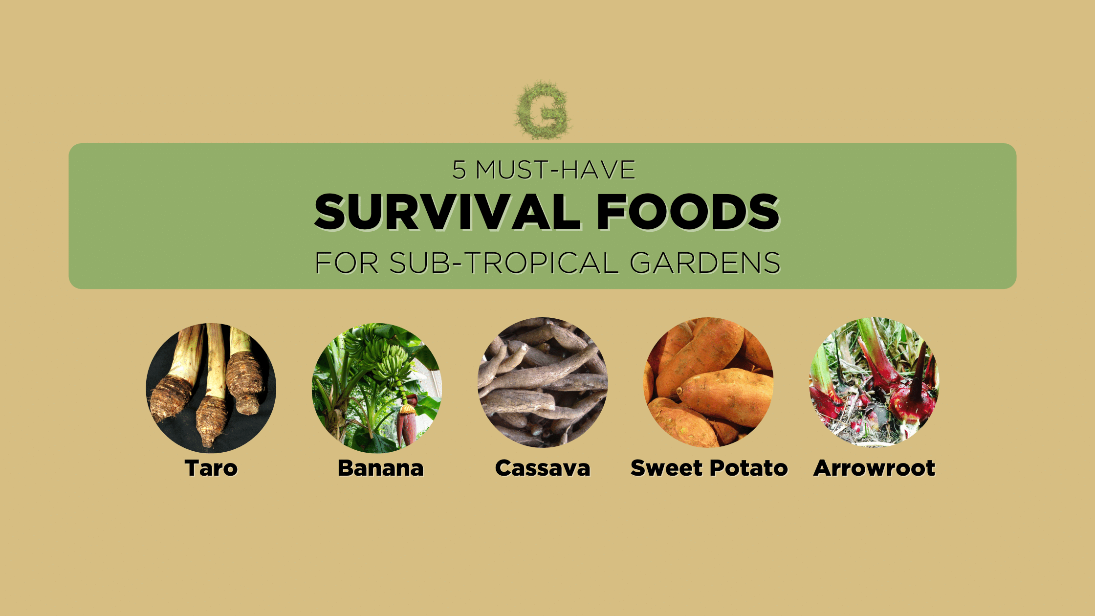 5 Must Have Survival Foods for Subtropical Gardens - Grounded